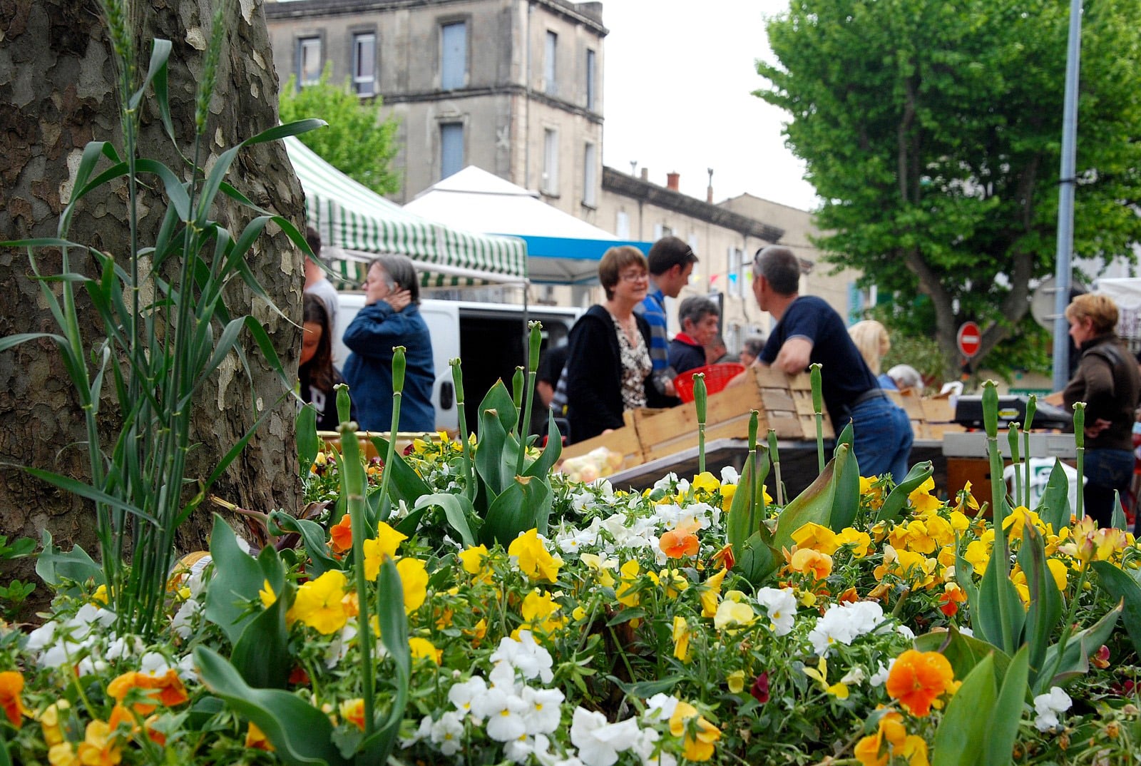 Le Teil - Office de Tourisme Porte Sud Ardèche